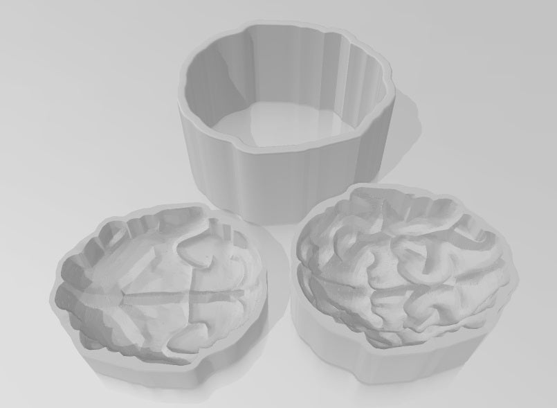 CD Brain Bath Bomb Mould – The Bubble Girl